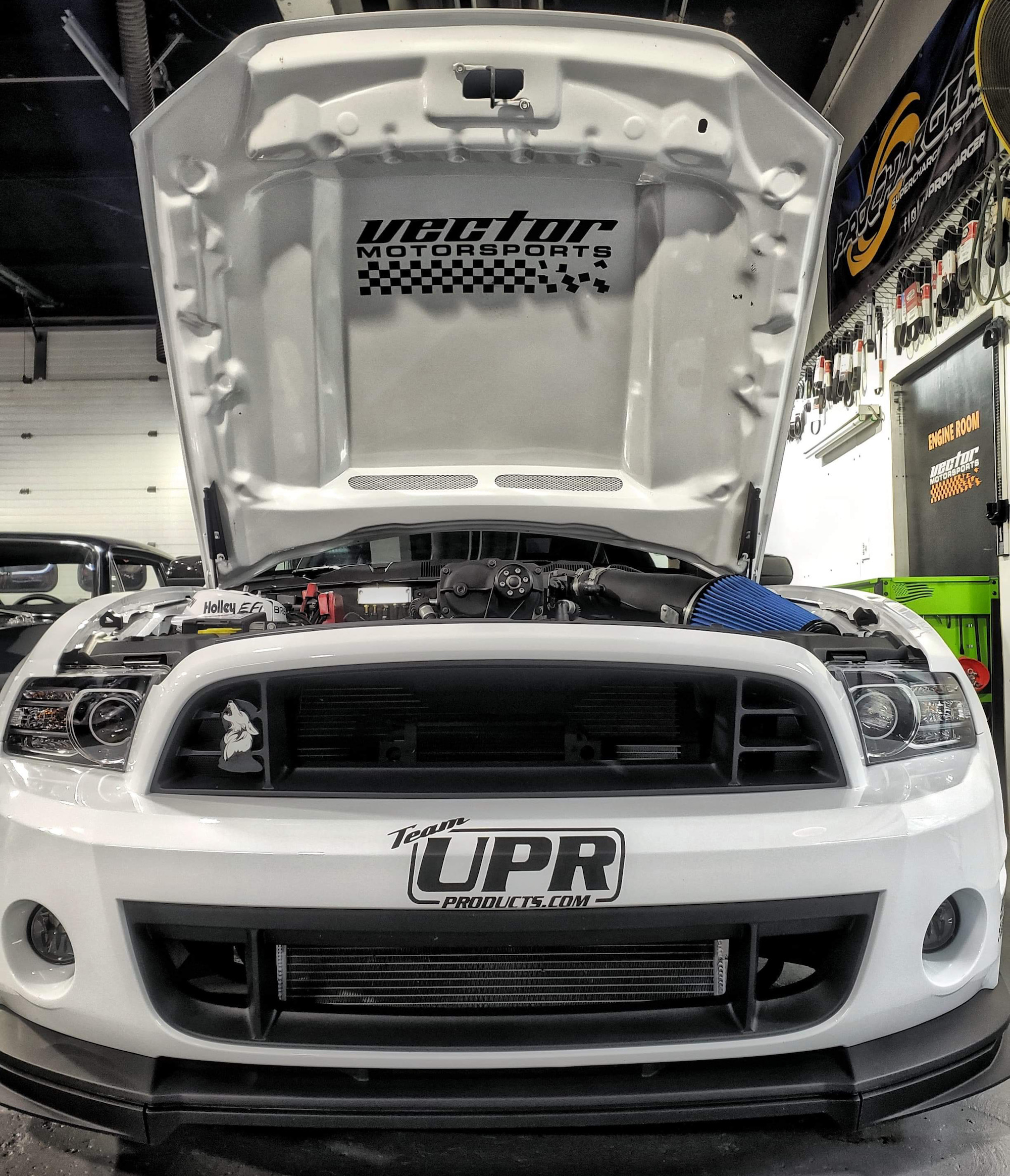 2014 Mustang GT | Vector Motorsports