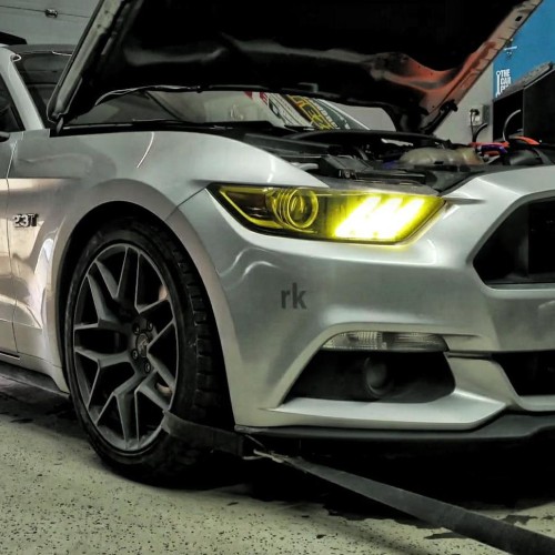 Custom Vector Tuning | Vector Motorsports