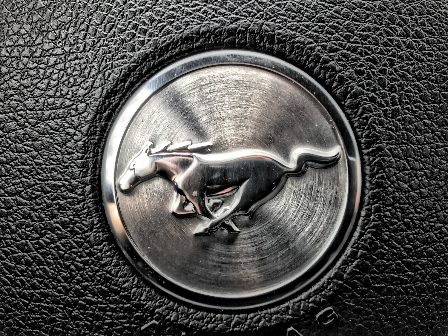 mustanggt | Vector Motorsports