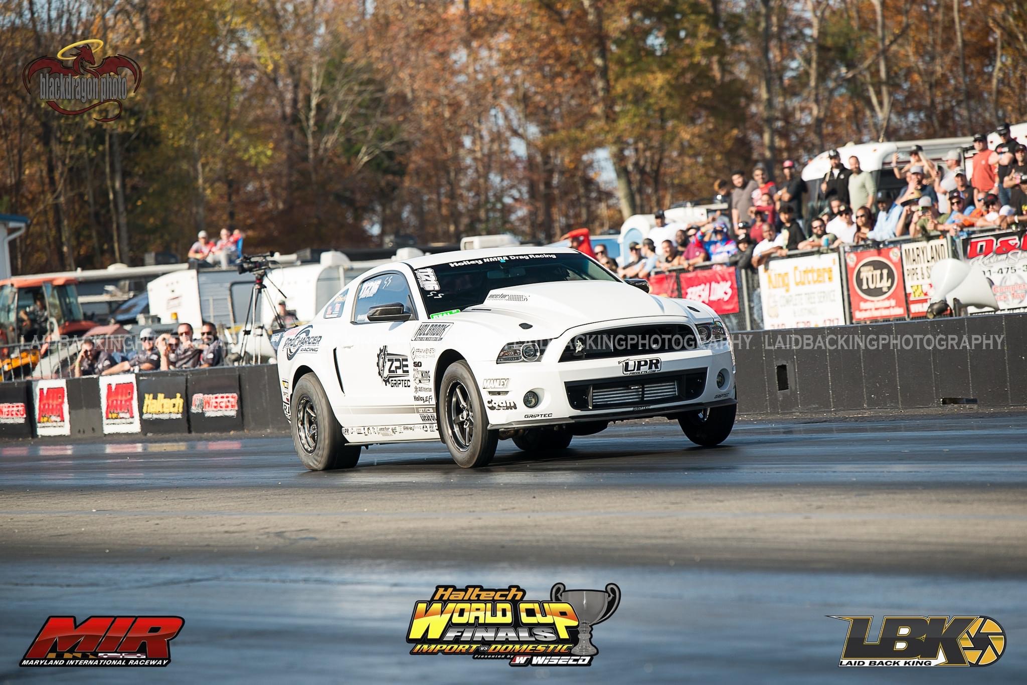 VMS Wows At World Cup 2022 | Vector Motorsports