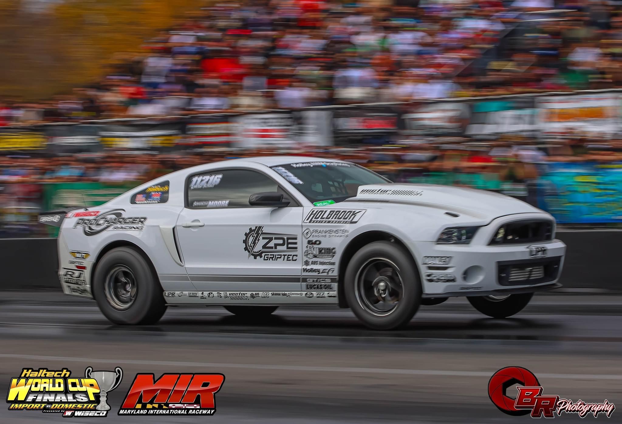 VMS Wows At World Cup 2022 | Vector Motorsports